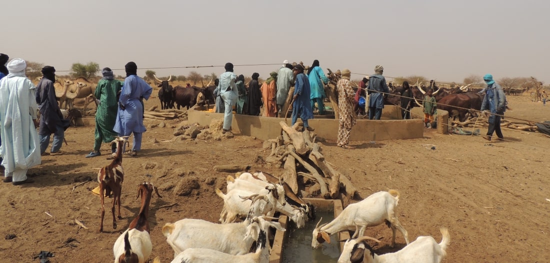 "Agro-pastoral Mediation in the Sahel" regional project - Alliance Sahel