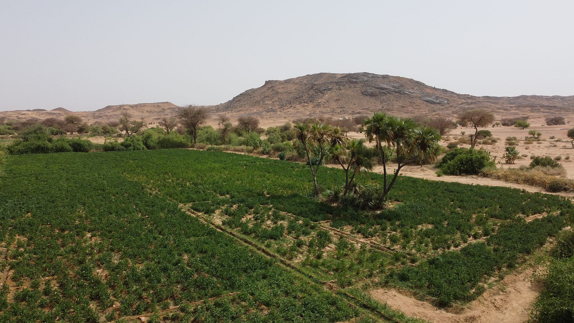 Niger: vaincre la faim et confronter les effets du changement climatique