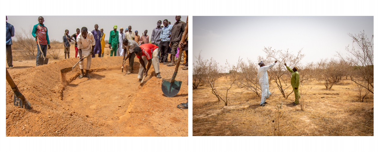 Lutte contre l’insécurité alimentaire: l’incontournable maîtrise de l ...