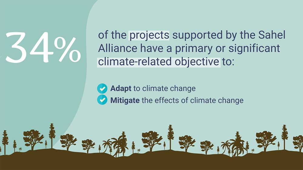 Sahel Alliance provides strong support to G5 Sahel climate programmes