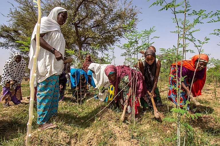 WFP in the Sahel: interview with Rama Leclerc