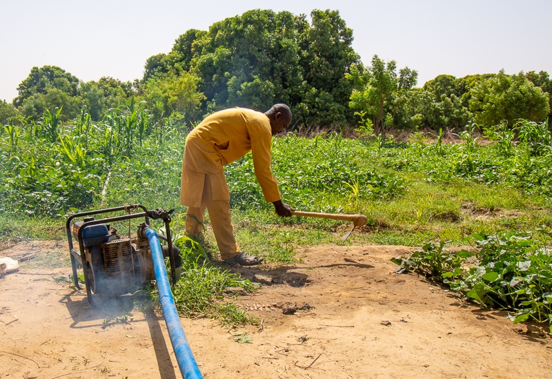 "The G5 Sahel populations want to see concrete actions" - Alliance Sahel