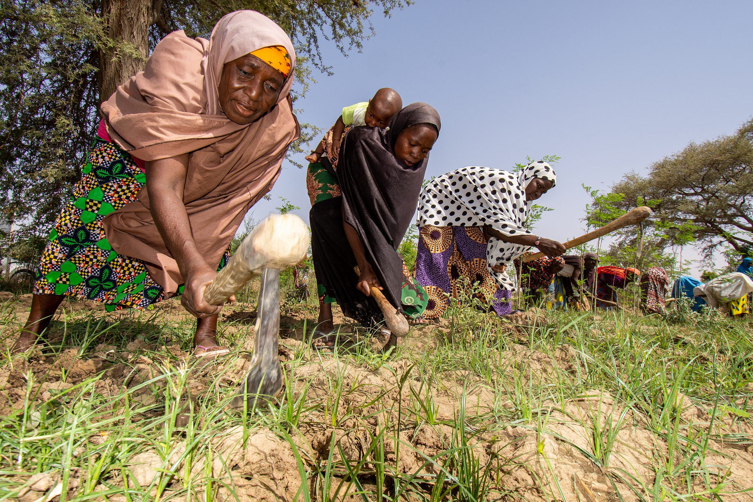 Country Climate and Development Report (CCDR) for the G5 Sahel region