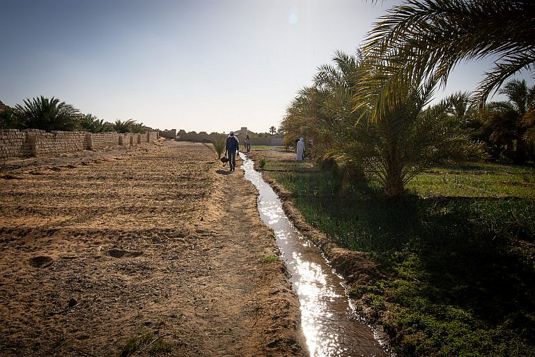Actualités et Presse - Alliance Sahel