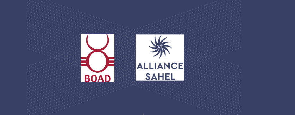 The West African Development Bank (BOAD) joins the Sahel Alliance as ...