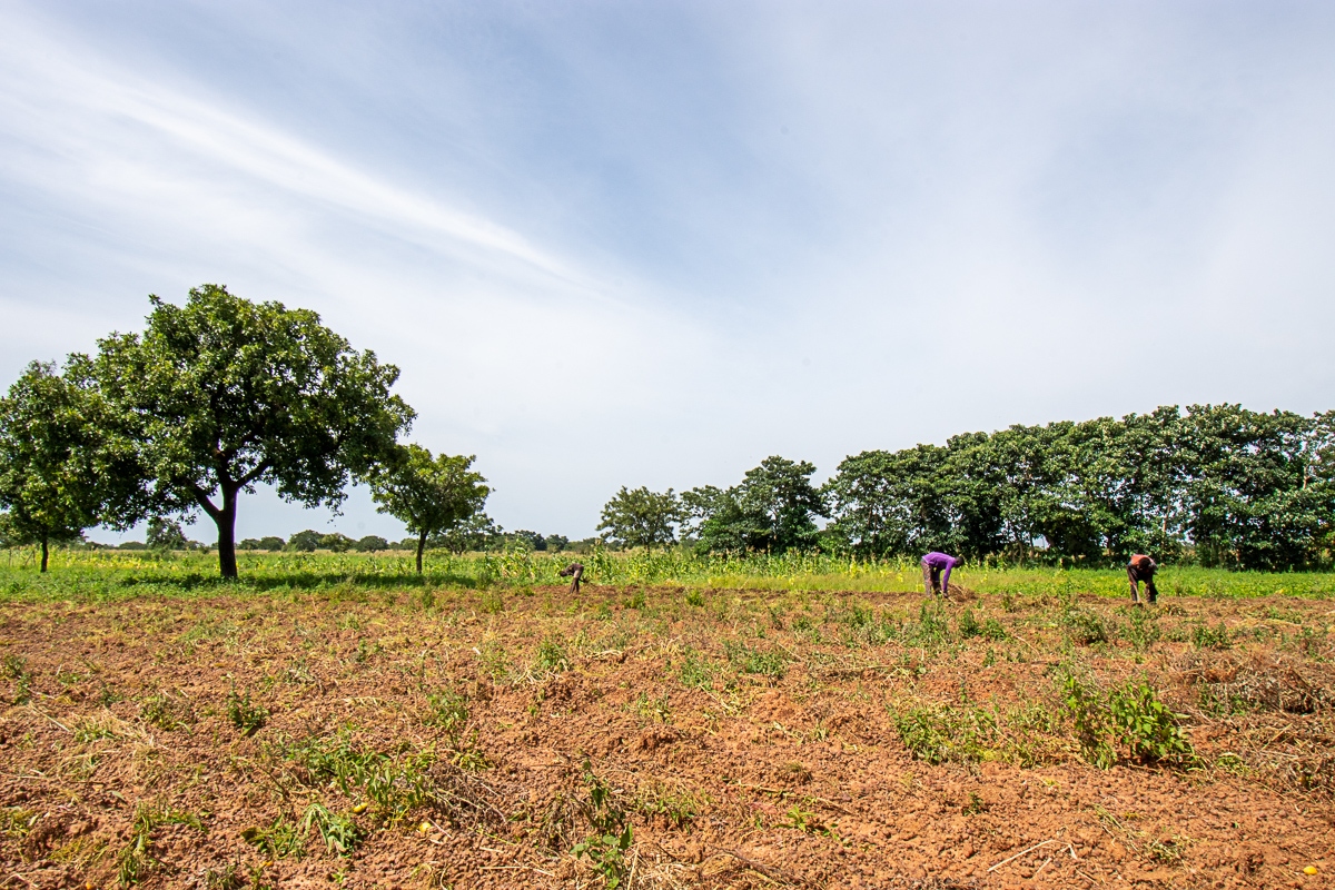 The Sahel Alliance for a synergy of sustainable impact in the Sahel ...