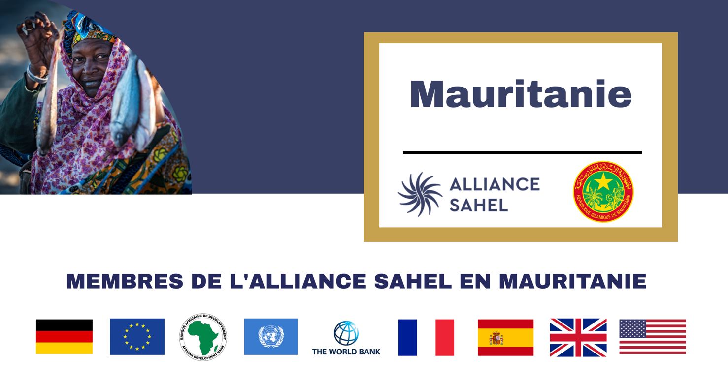 Mauritanian consultations to strengthen collective action in the Sahel