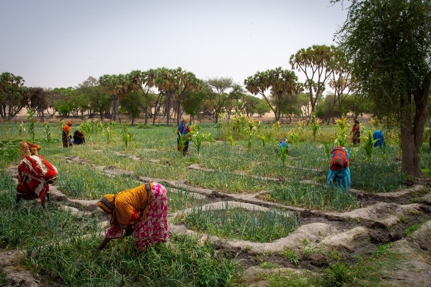 Agriculture, élevage, environnement: 3 axes de lutte contre la ...