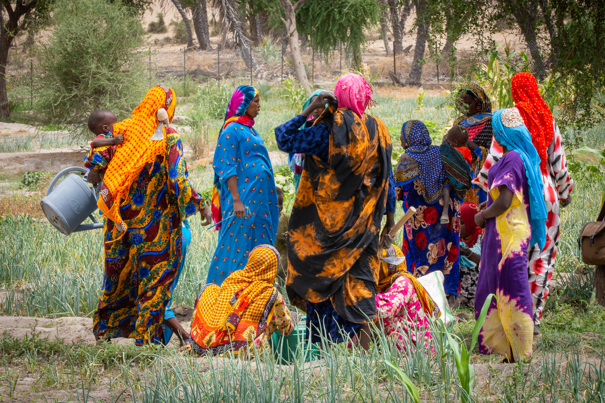 Climate, an Integral Part of the Humanitarian - Security - Development ...