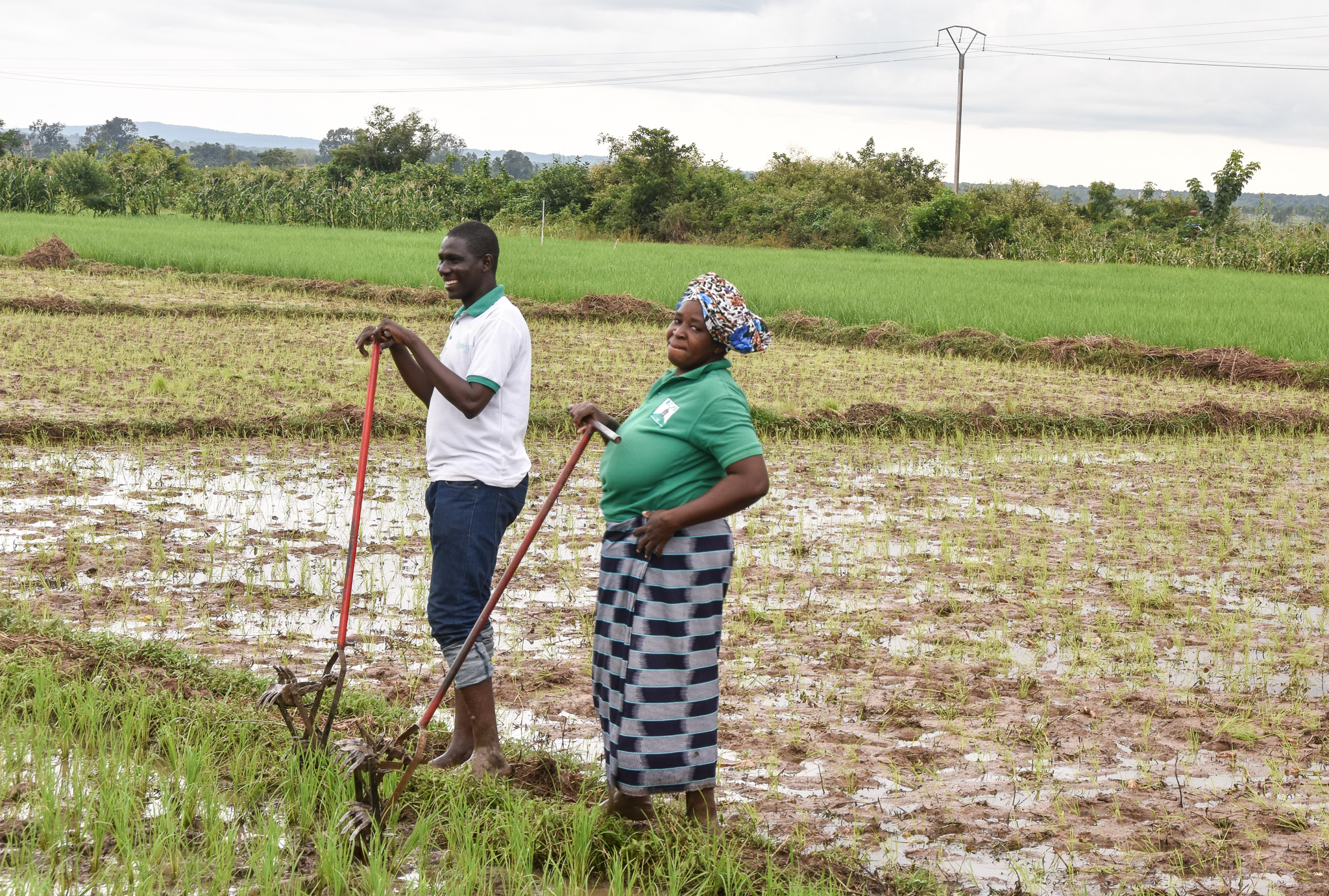 Conflicts, Economic Crises, and the Impact of Climate Change ...